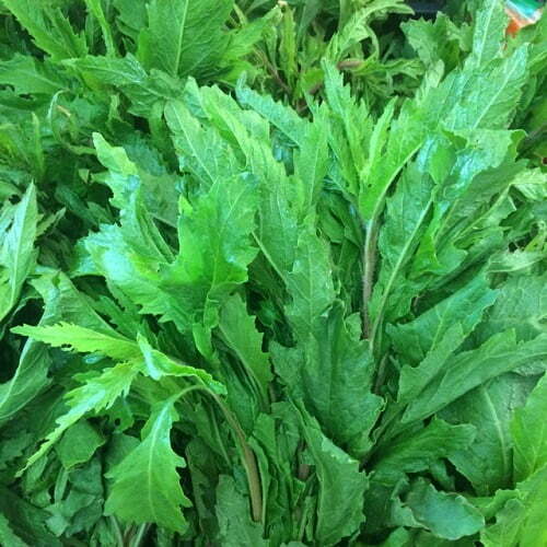 Epazote - The Recipe Website